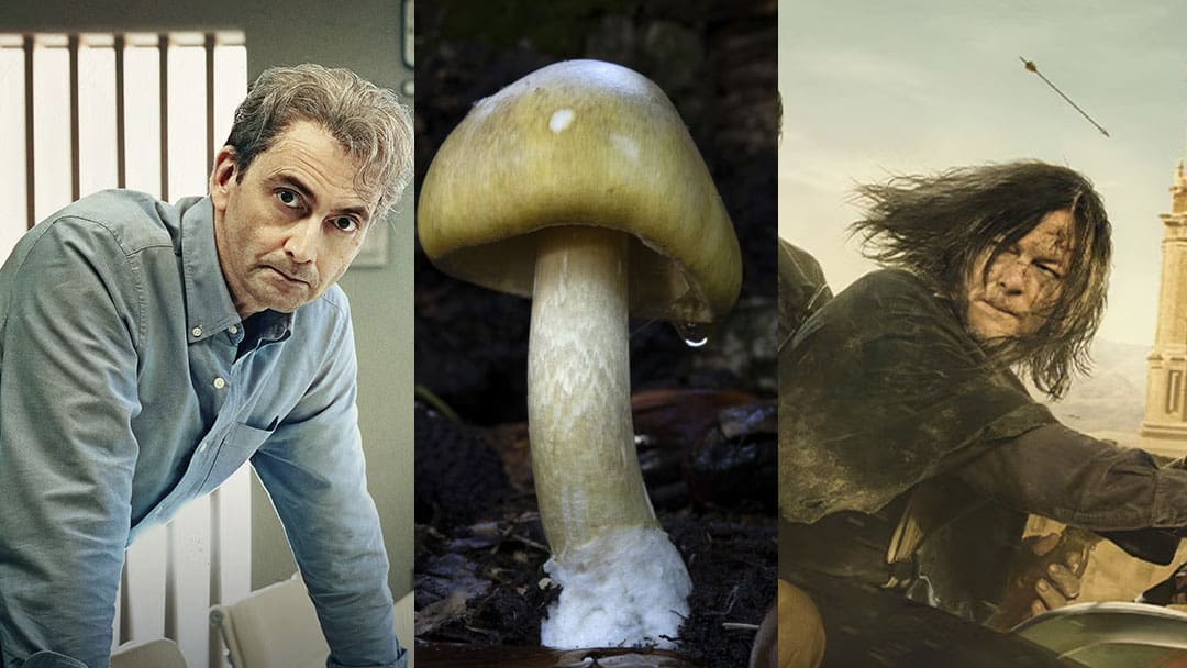 Everything coming to Stan in September 2025 - Explosion Network